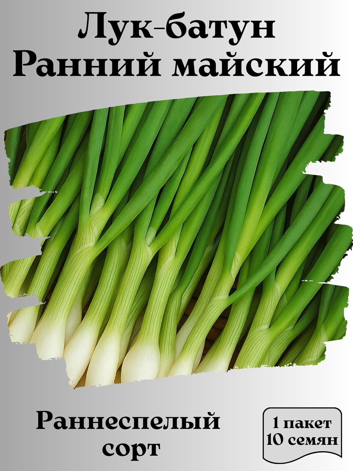 Лук-батун Ранний майский, семена, 10 шт, 15 гр.