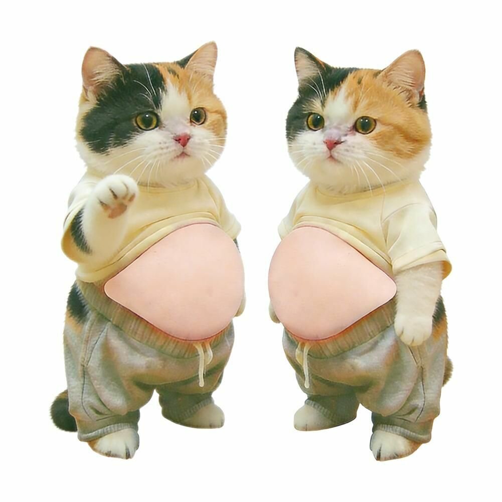 3D милая кошечка, эластичная наклейка на большой живот, противоударная игрушка, средство для снятия стресса.