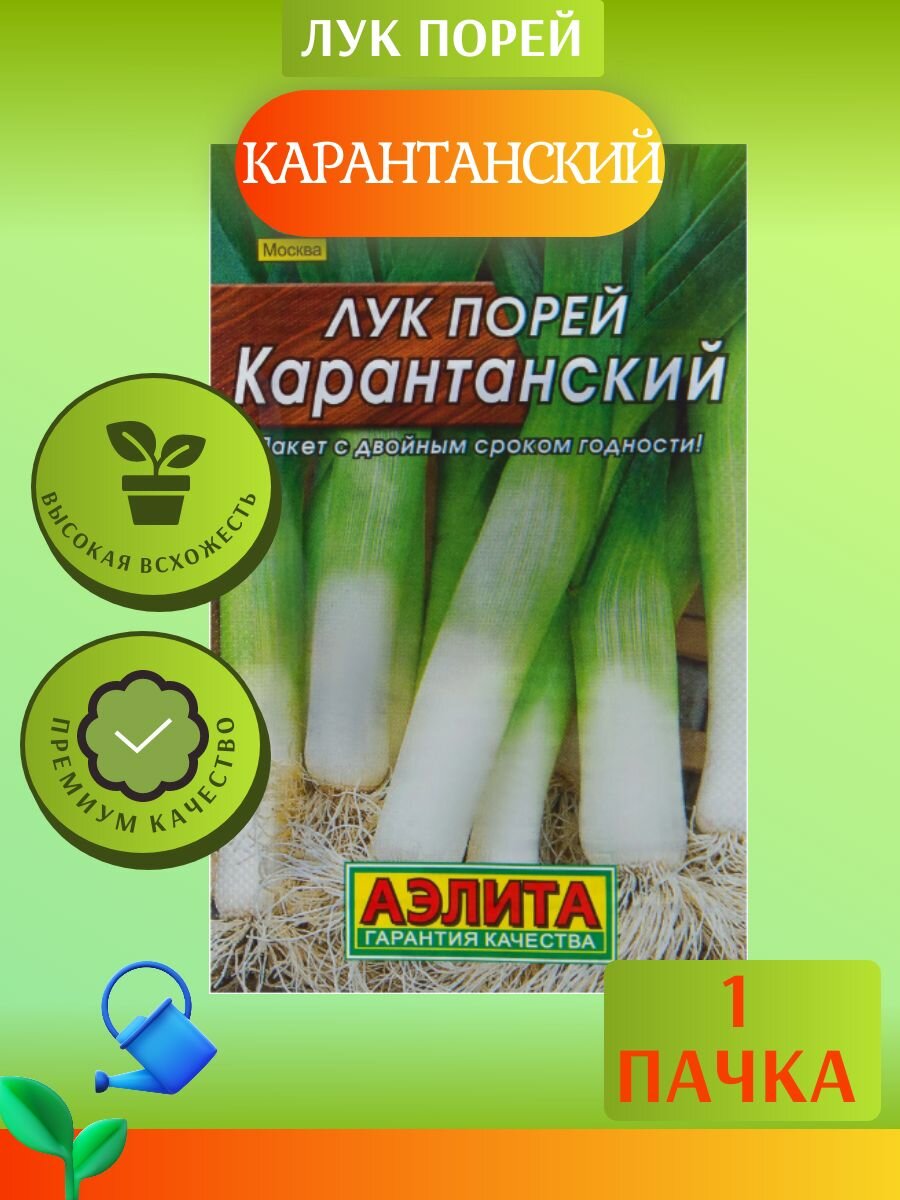 Лук порей Карантанский цв. п 1г лидер Аэлита