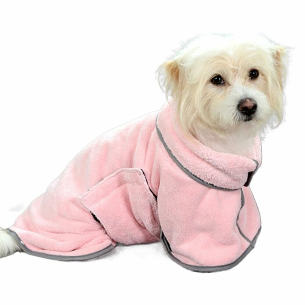 Собака Халат