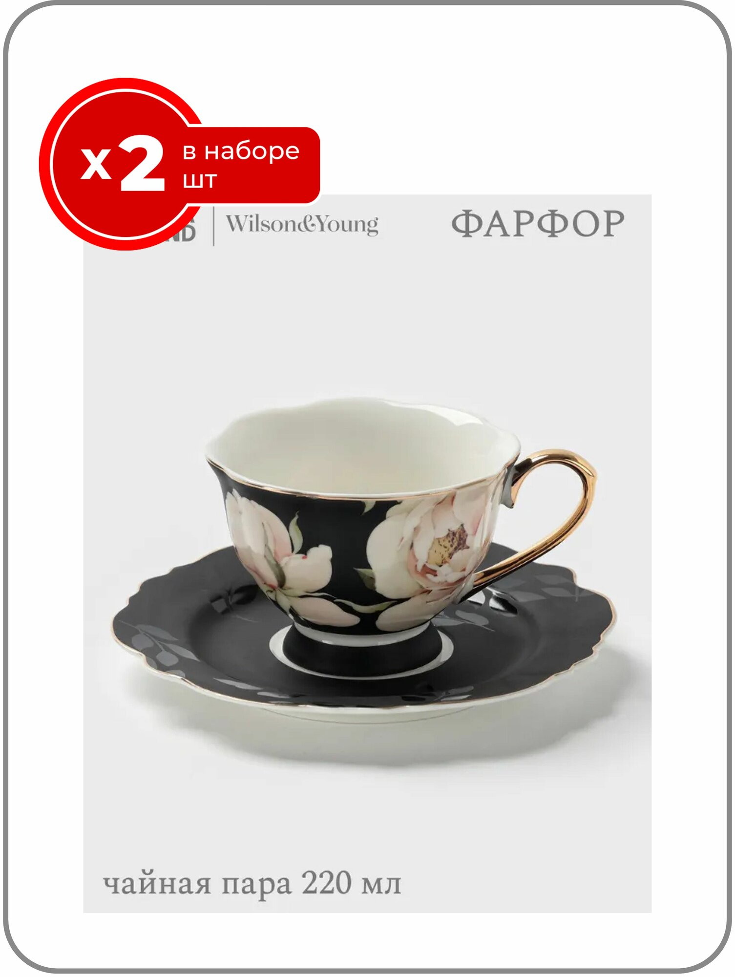 Набор из 2шт чайная пара WY Pink Ohara, фарфор, 210 мл, чёрная