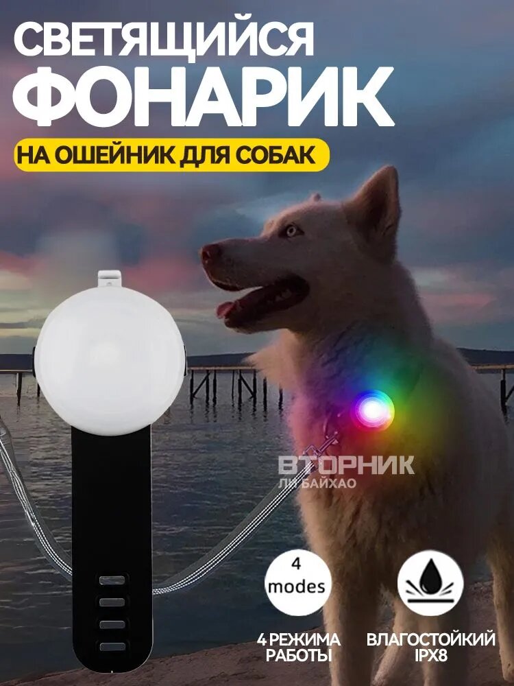 Фонарик на ошейник для собак / Светящийся брелок, маячок на ошейник