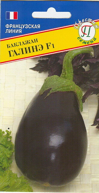 Баклажан Престиж "Галинэ" F1, урожайный гибрид, округлые плоды,