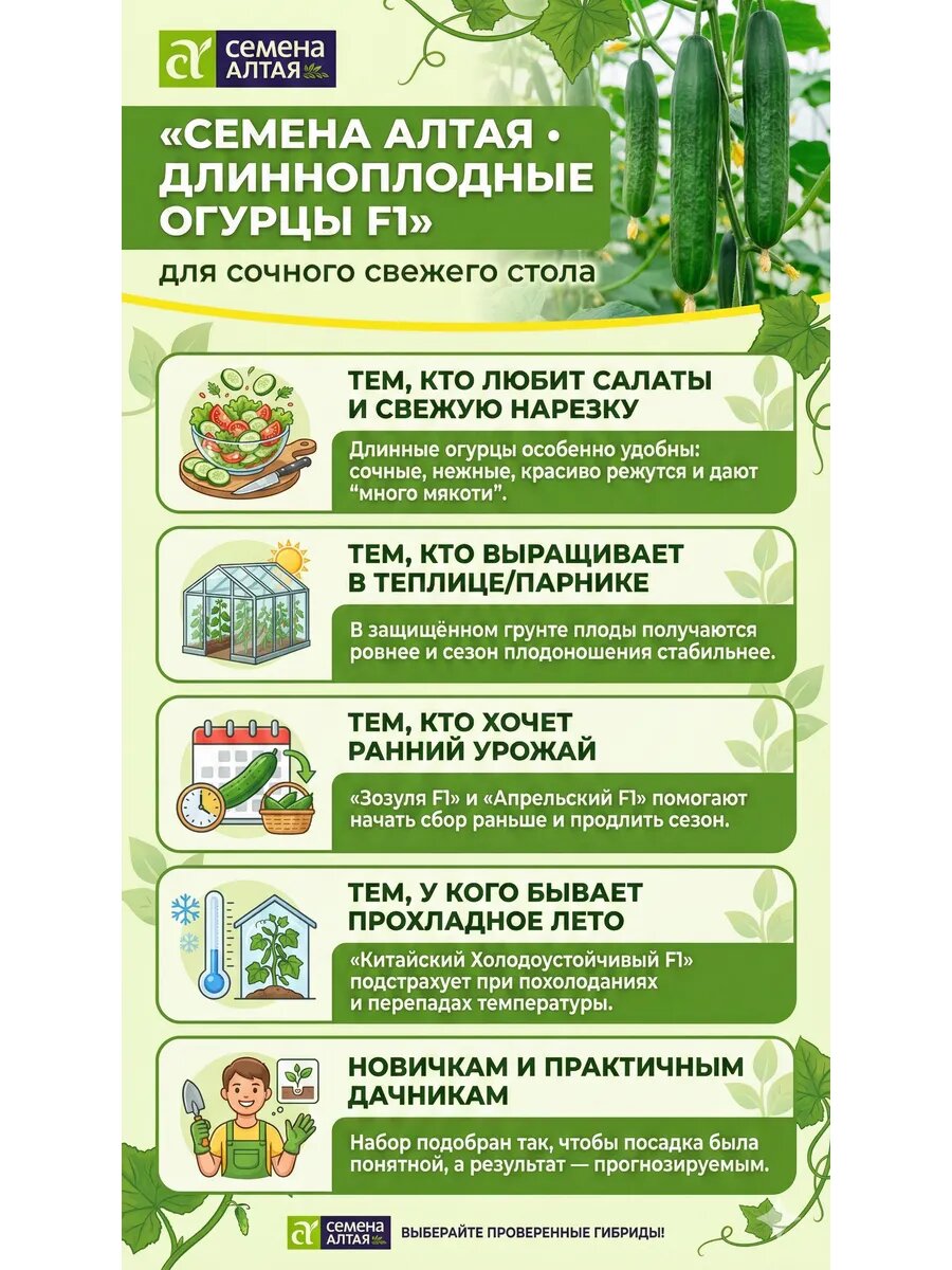 Набор семян огурцов длинных сортов, 3 сорта, бренда семена Алтая — фото 1