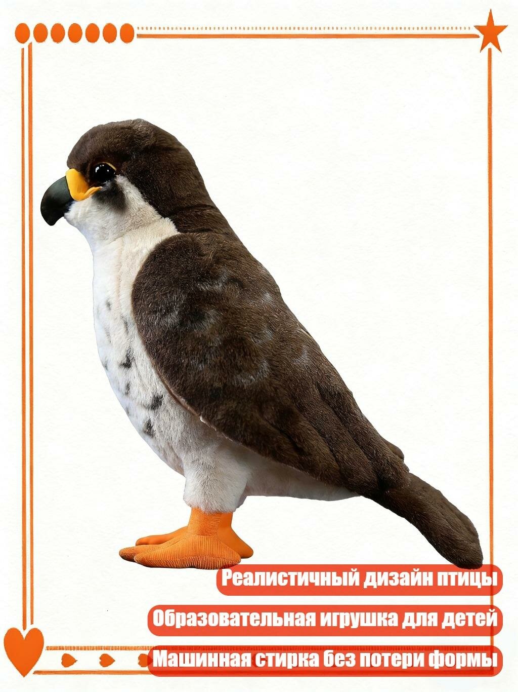 Плюшевый ястреб-тетеревятник, ты гладкий