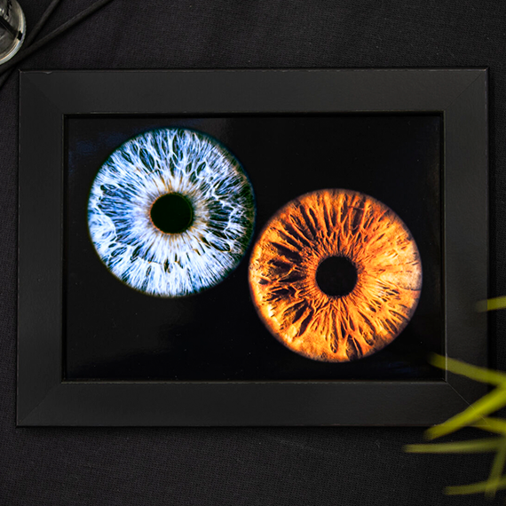 Подарочный сертификат «Фото радужки глаза» (1 сеанс, 1 человек)