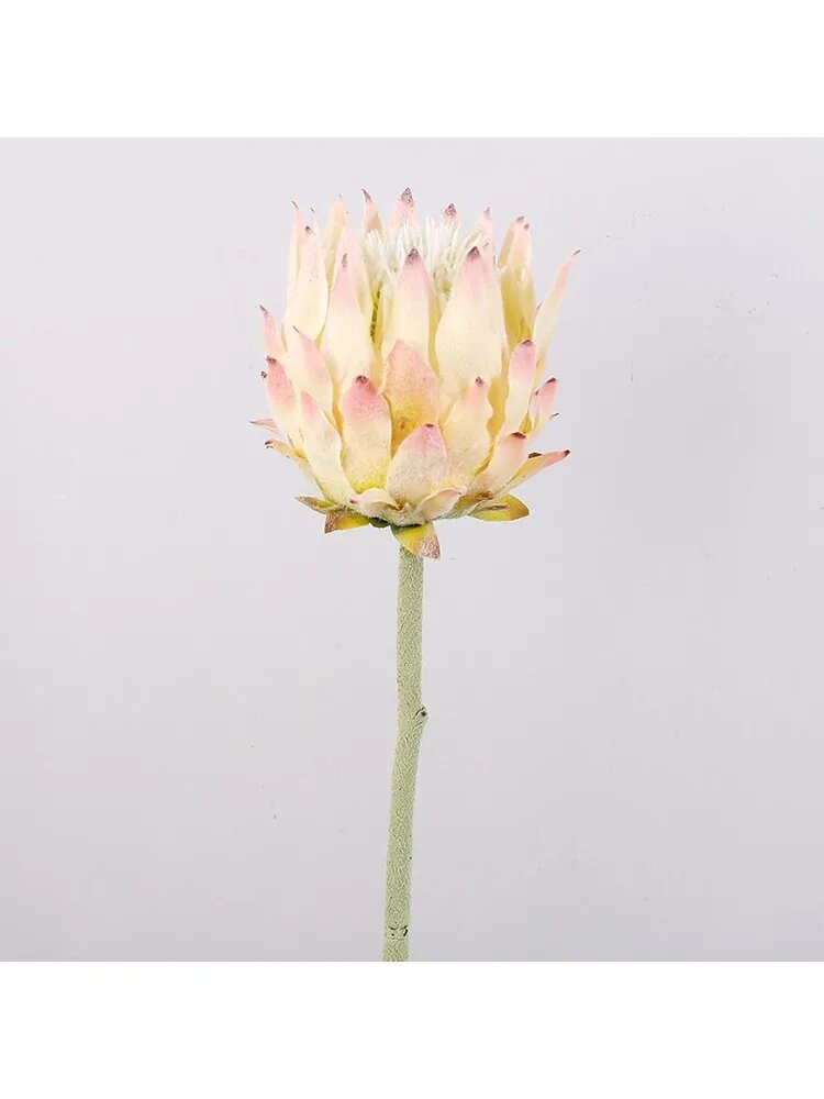 Стабилизированные цветы Бугенвиллия, 43 гр