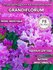 Рододендрон Садовые Растения "Катевбинский Grandiflorum", многолетнее, 3м