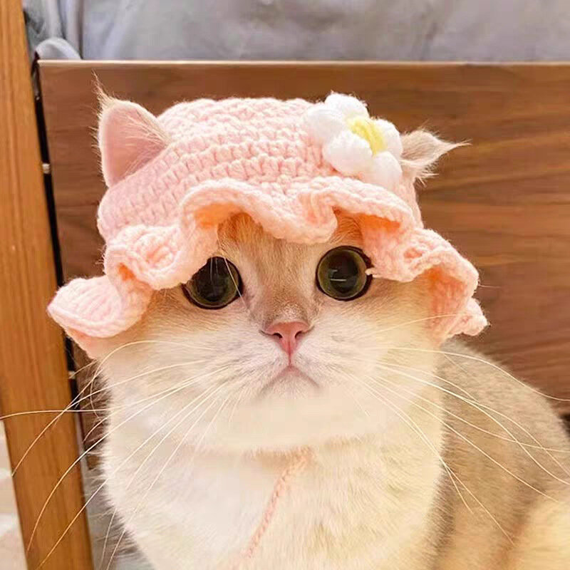Головной убор для домашних животных