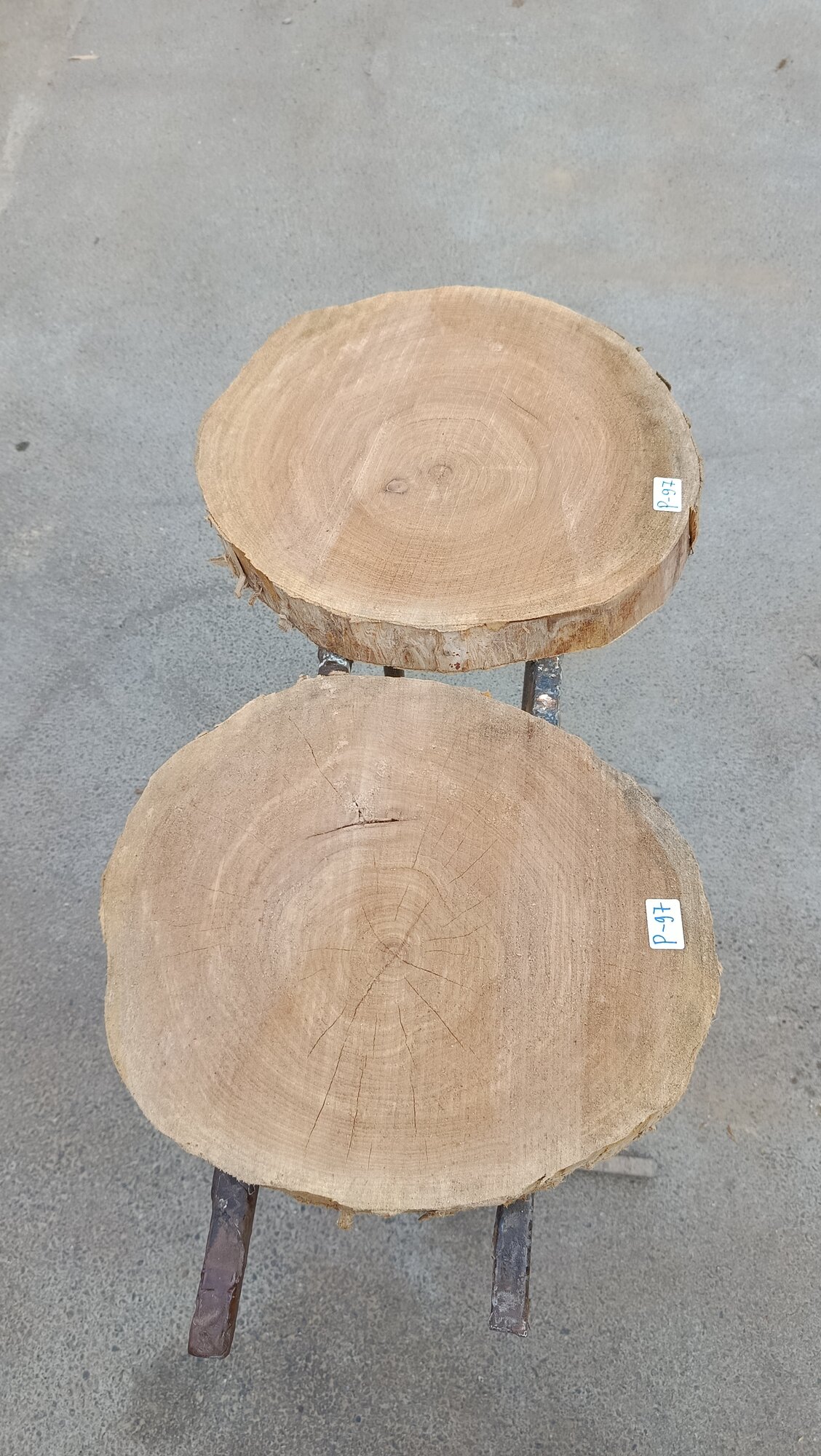 Слэб из шелковицы 37х32х5,5см, 38х33х5,5см, комплект из 2-ух штук (Р97) спилов шелковицы