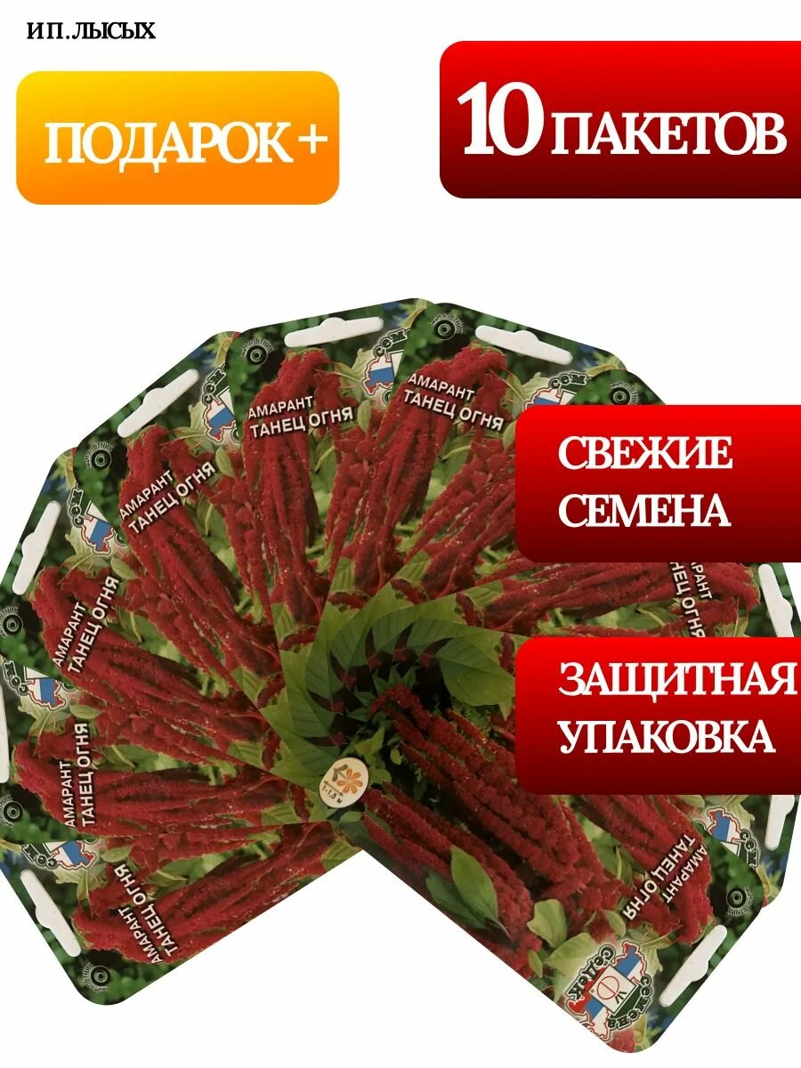 Семена Амарант "Танец Огня"