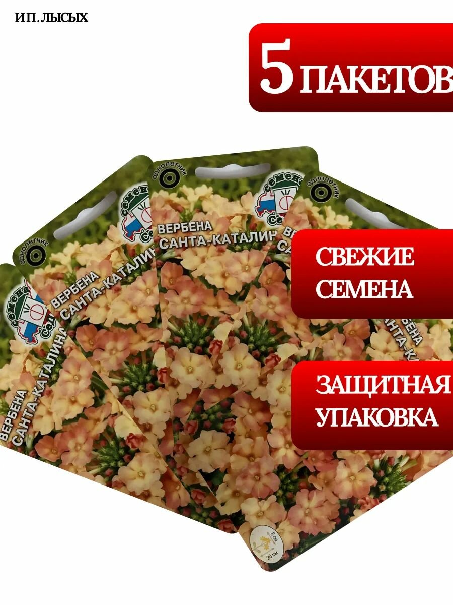 Семена Вербена "Санта-Каталина"
