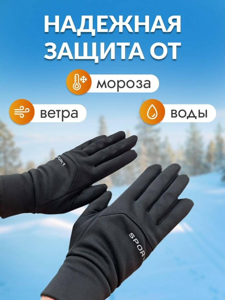 Бестселлер, перчаточные изделия