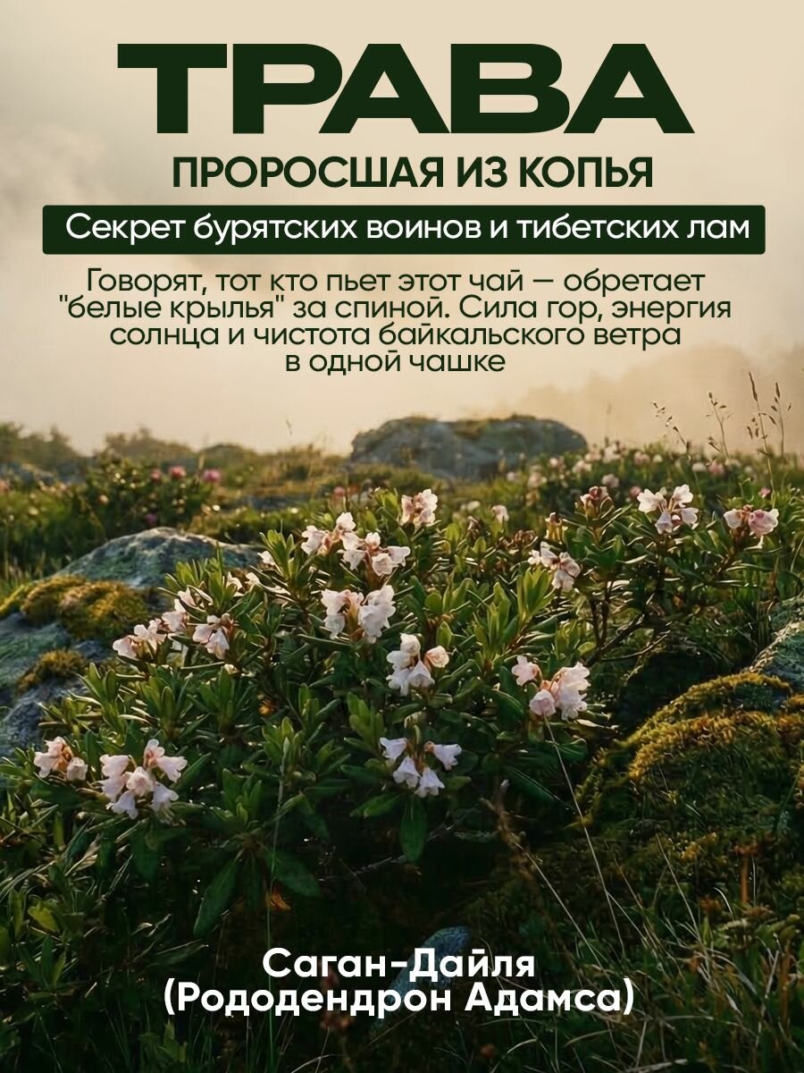 Тот самый Саган "Белое крыло". Горная трава для энергии и иммунитета (40 гр)