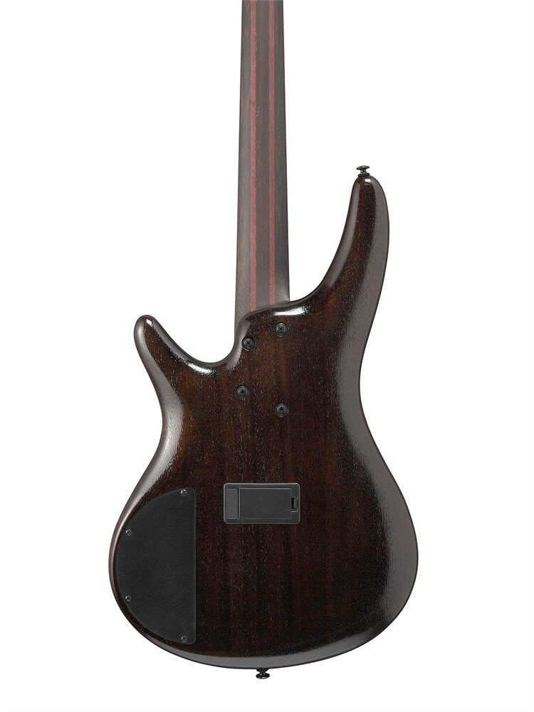 Бас-гитара Ibanez GSR200-TR — фото 1