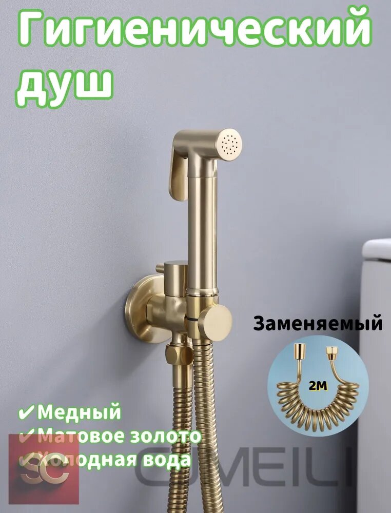 Матовое золото1016 Гигиенический душ Встраиваемый клапан Медный пистолет Телескопический шланг 2м Шланг 1,2м