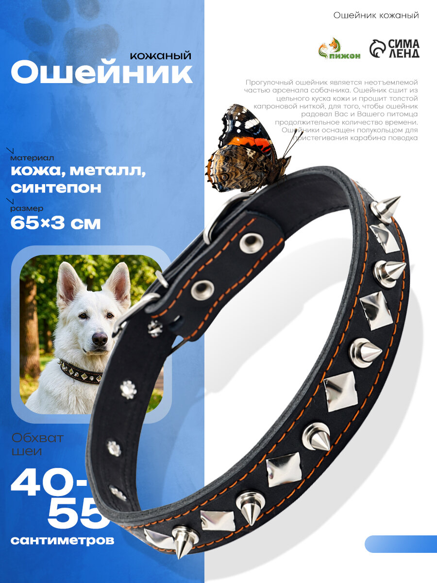 Ошейник кожаный двухслойный шипованный, 63 х 3 см, ОШ 40-55 см, чёрный