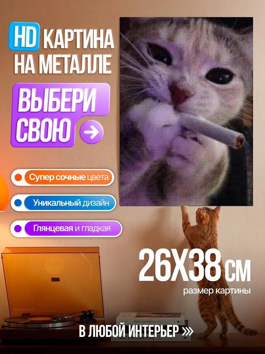 Картина на HD металле Кот с сигаретой