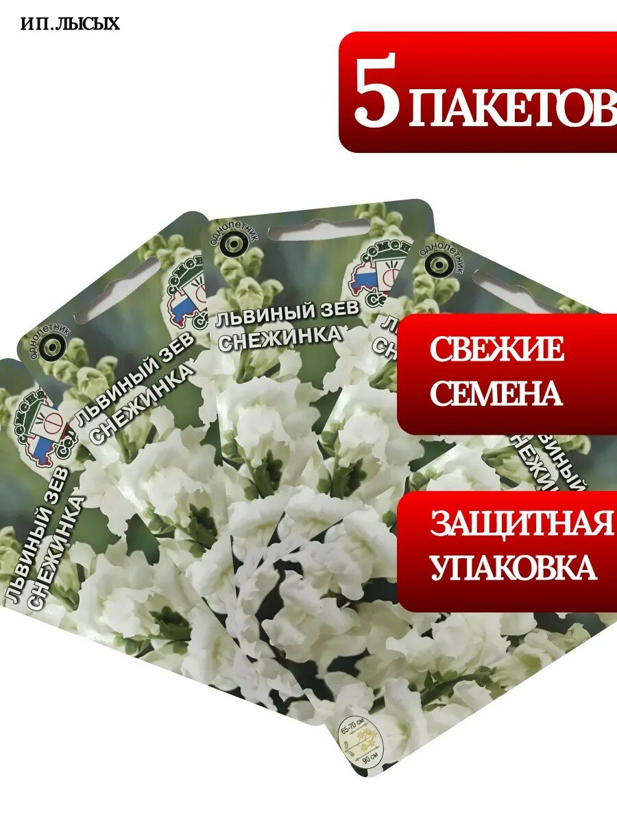 Семена Львиный Зев "Снежинка"