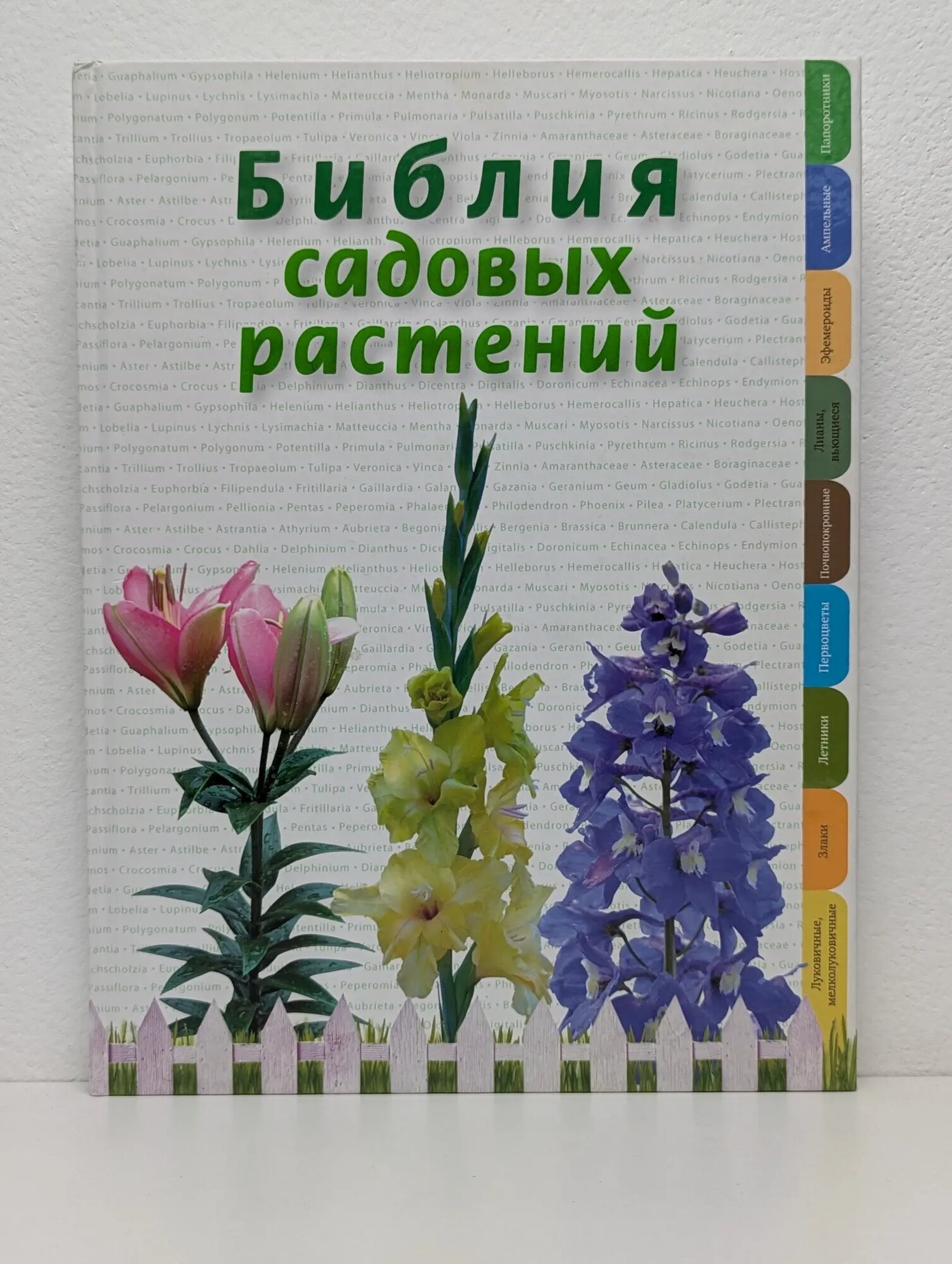 Энциклопедии цветовода, дачника. Библия садовых растений Березкина Ирина Валентиновна, Григорьева Наталья Викторовна 2008