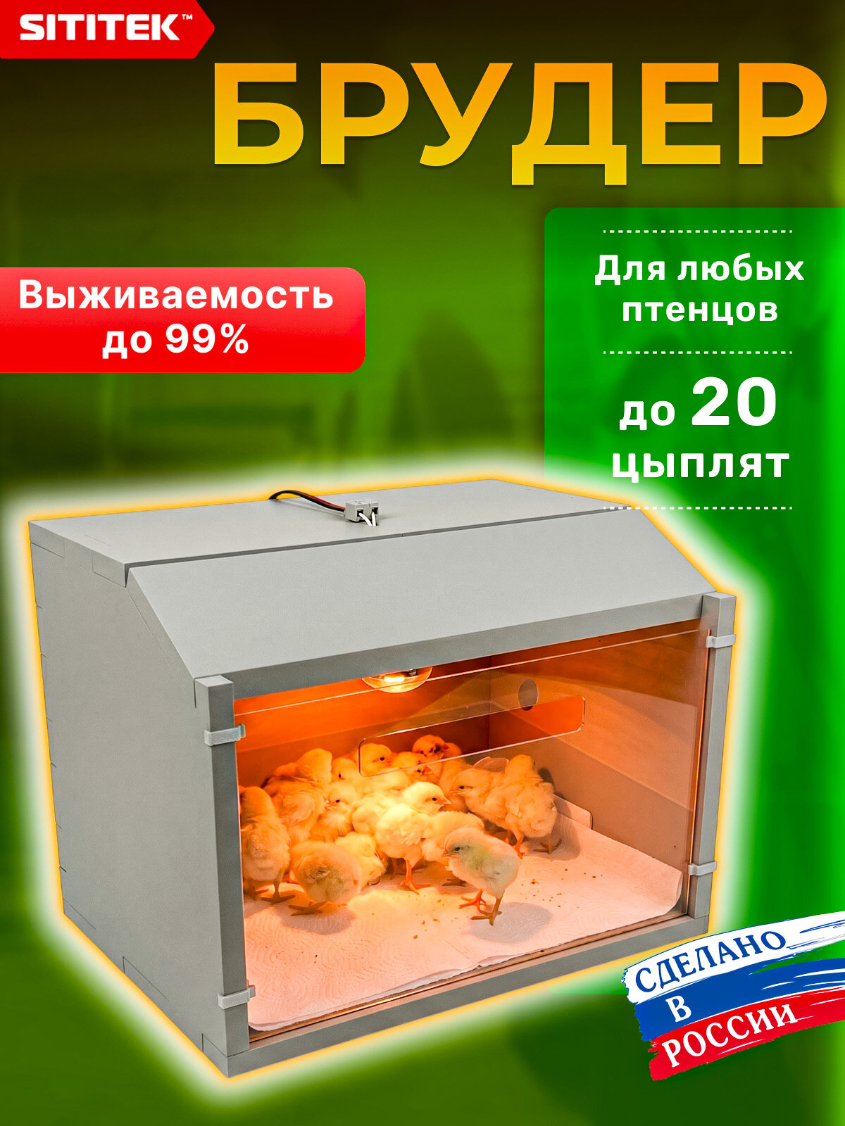 Брудер для цыплят SITITEK 35W, с лампой 35 Вт, с диммером для регулировки мощности