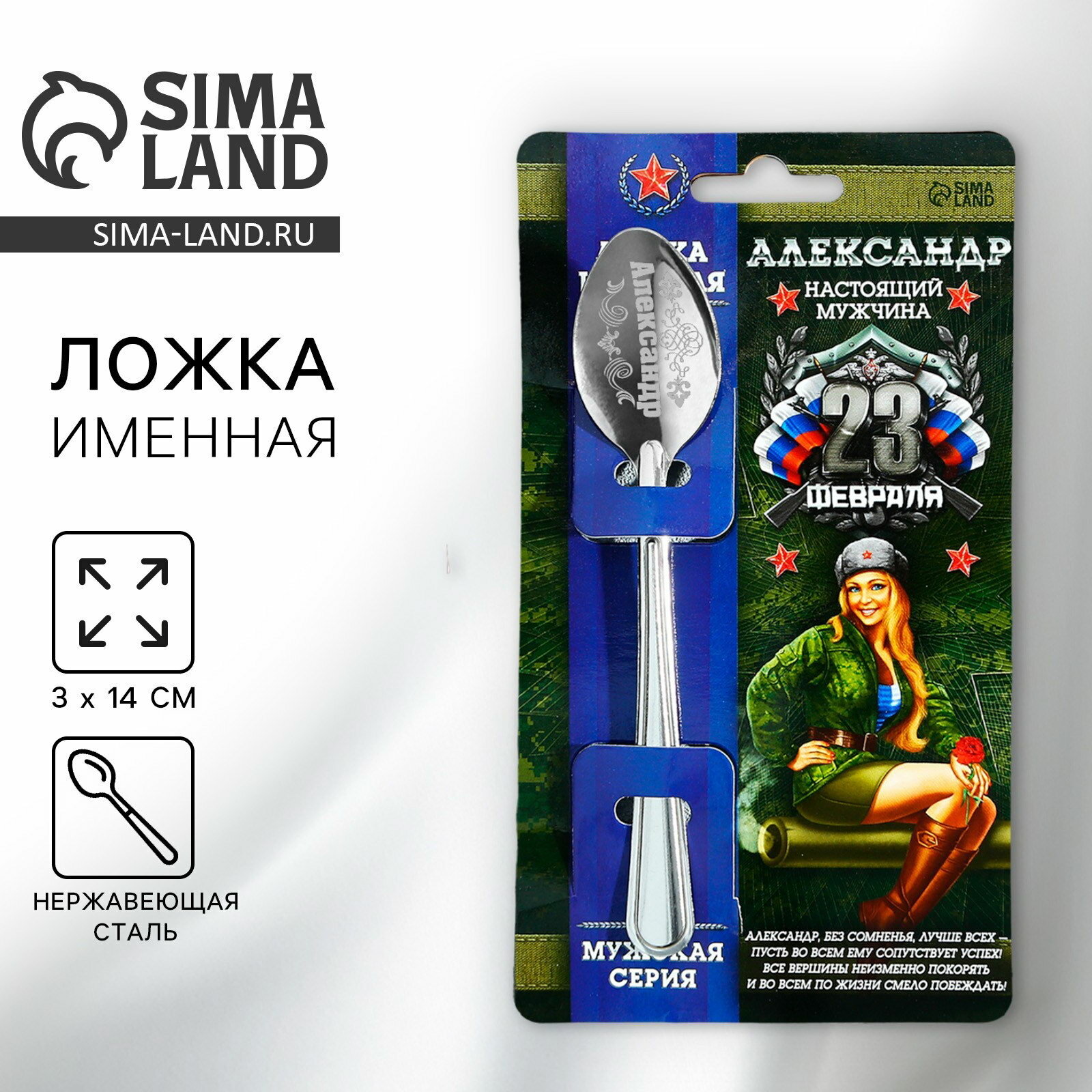 Ложка чайная именная "Александр", 3x14 см, назначение: сувенирные, 3 шт.