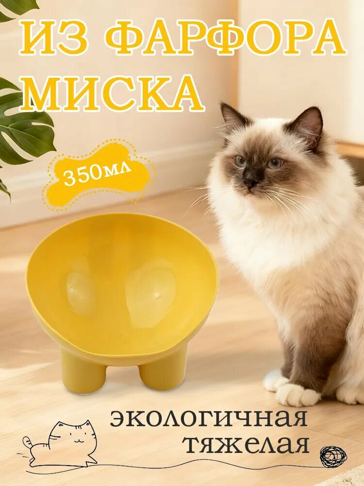 Пластиковая миска для домашних животных с защитой от опрокидывания, миска для кошек на высоких ножках