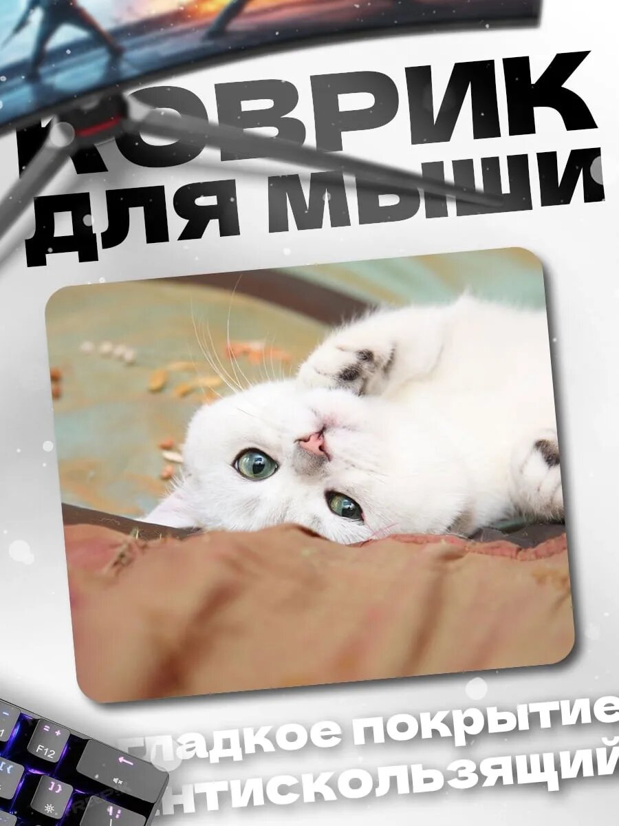 Коврик для мыши белый котенок лежа