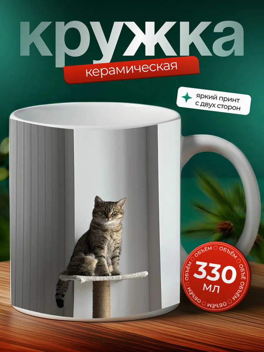 Кружка Шотландская прямоухая кошка 51,