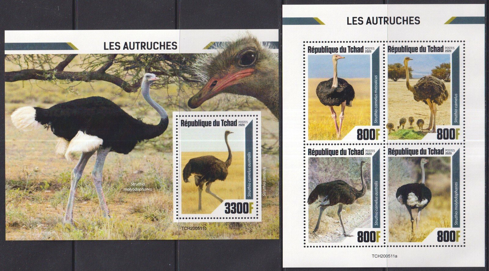 Марки 2020 год Чад Страусы Птицы Фауна #4181-4184+Бл929 MNH