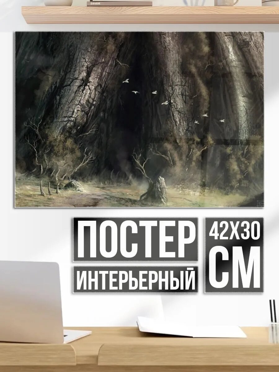 Плакат постер Древний лес