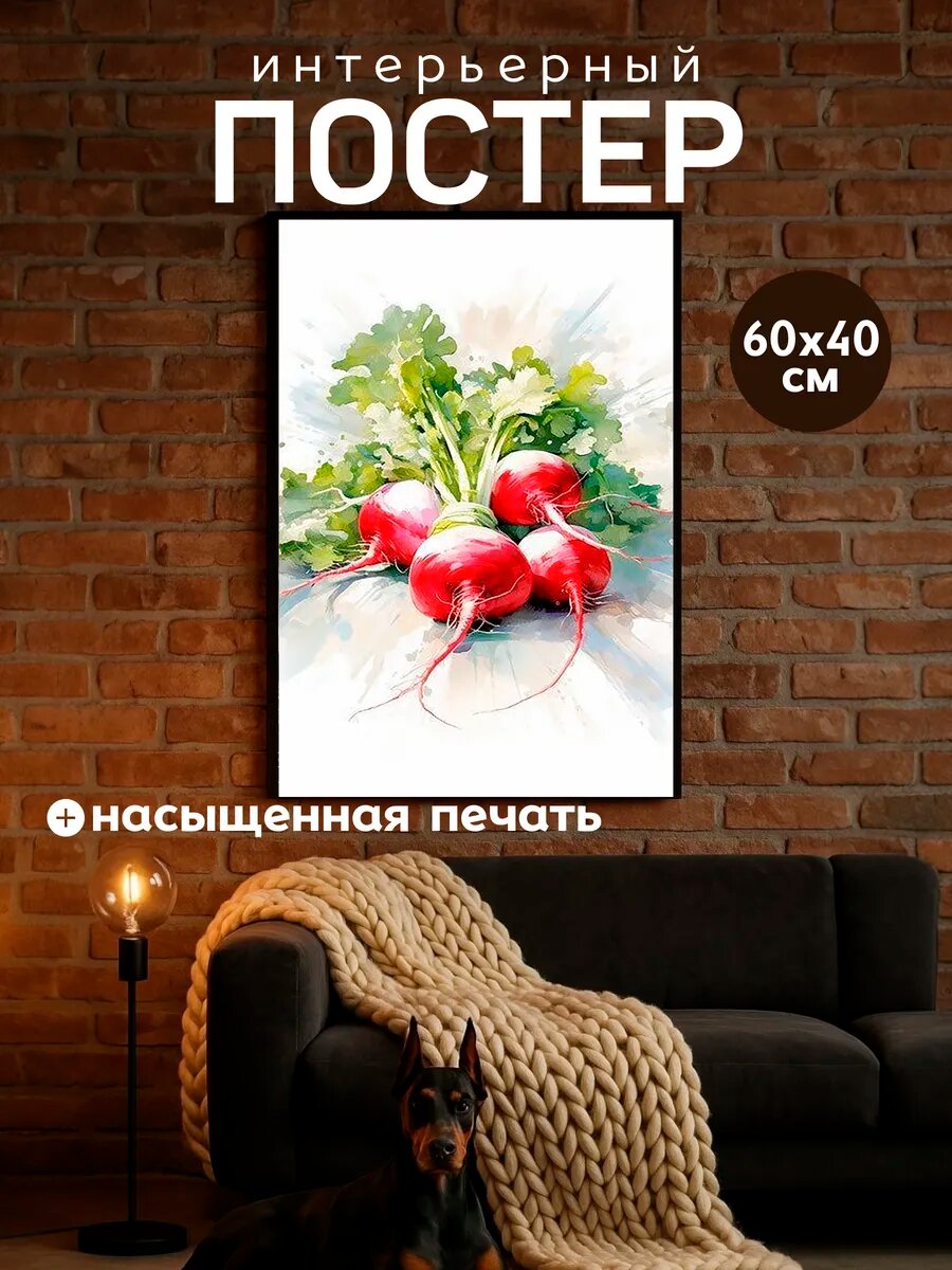 Постер для интерьера 40х60 Редис