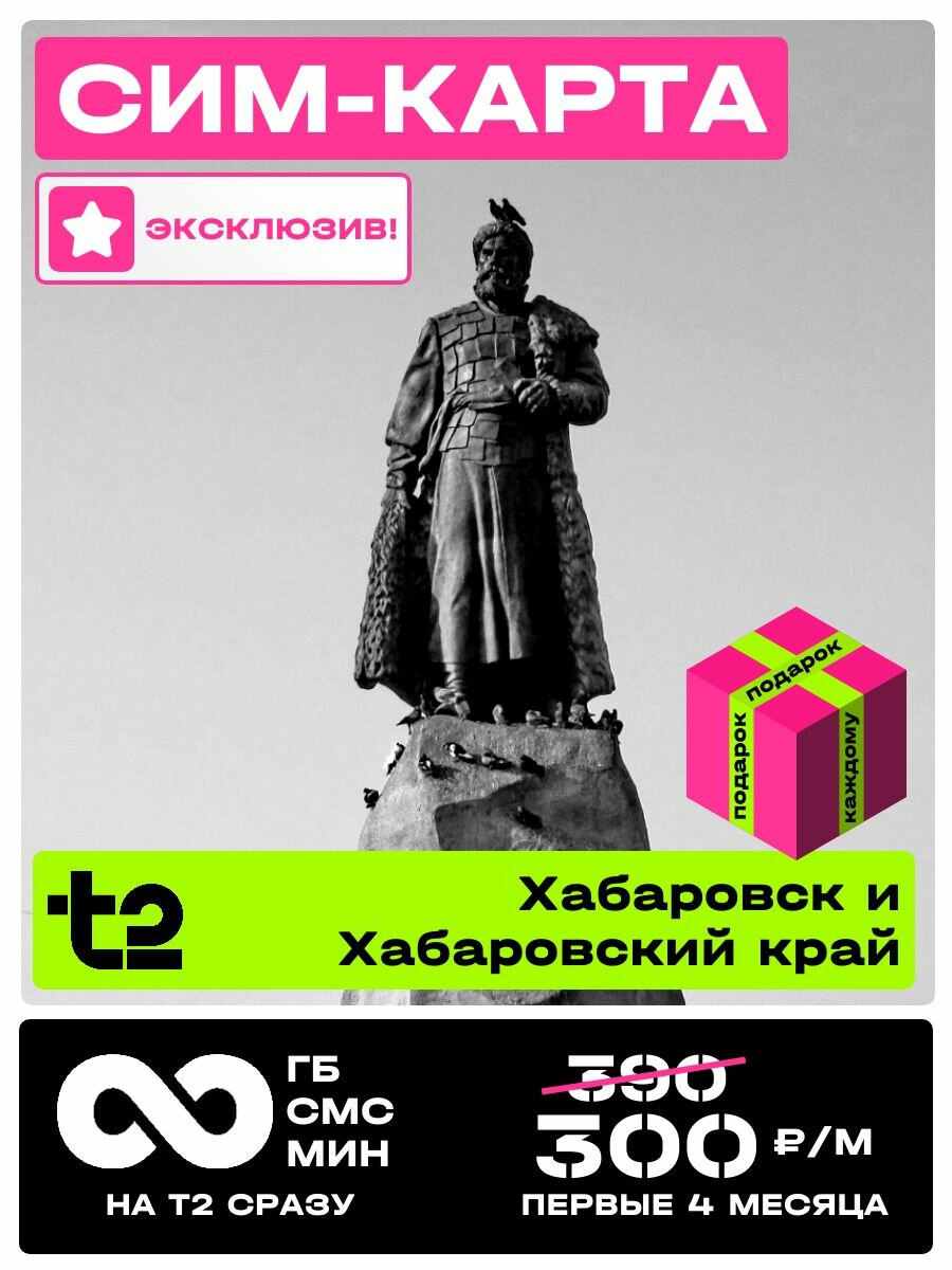 Сим карта теле 2 с безлимитным интернетом и минутами. t2 SIM-карта тариф хватит Хабаровский край. За 300 рублей в месяц.
