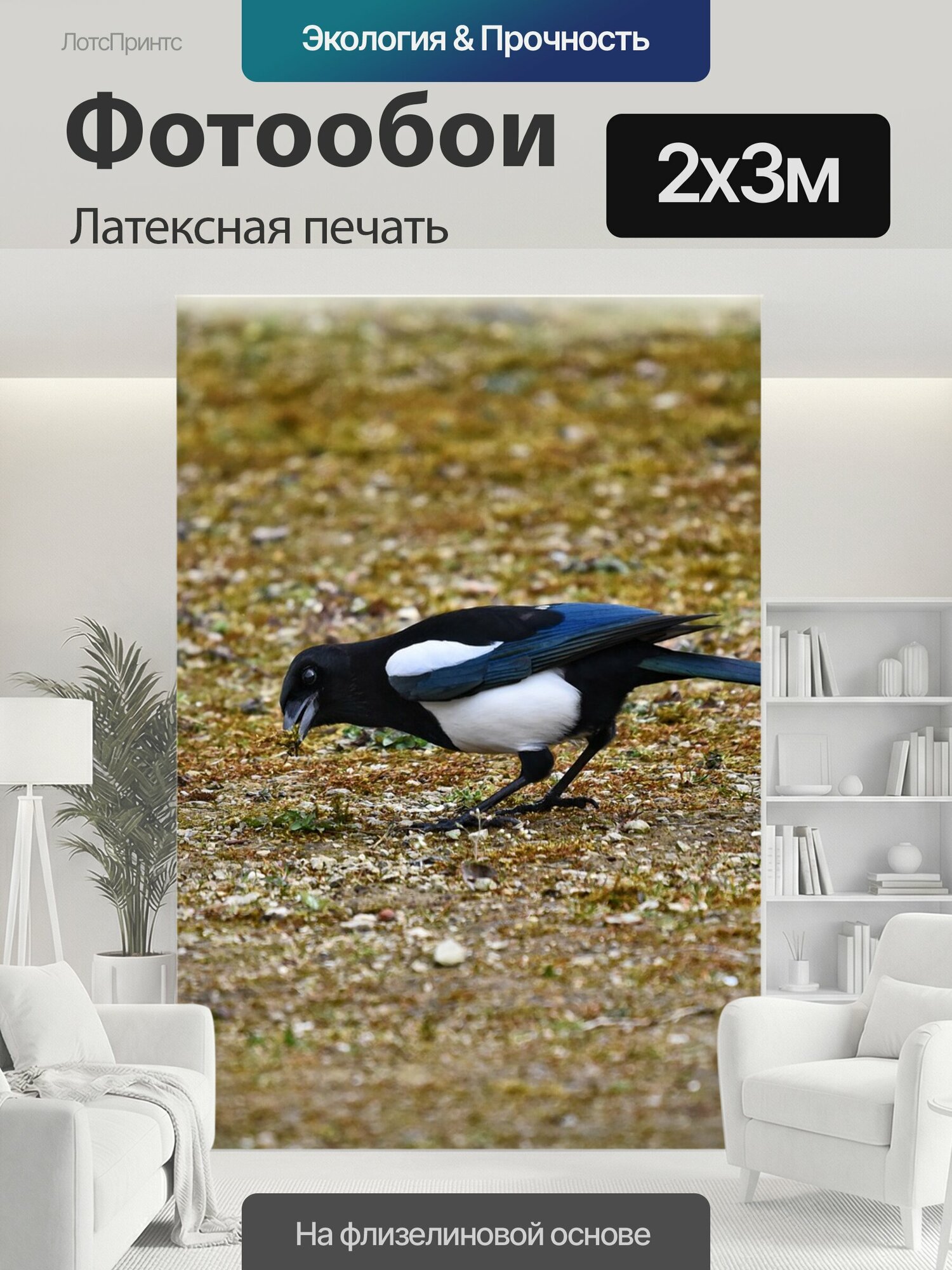 Фотообои моющиеся ударопрочные "Сорока, евразийская сорока, птица" 200x300 см. латексная печать