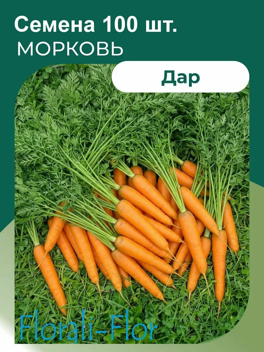 Морковь Семена