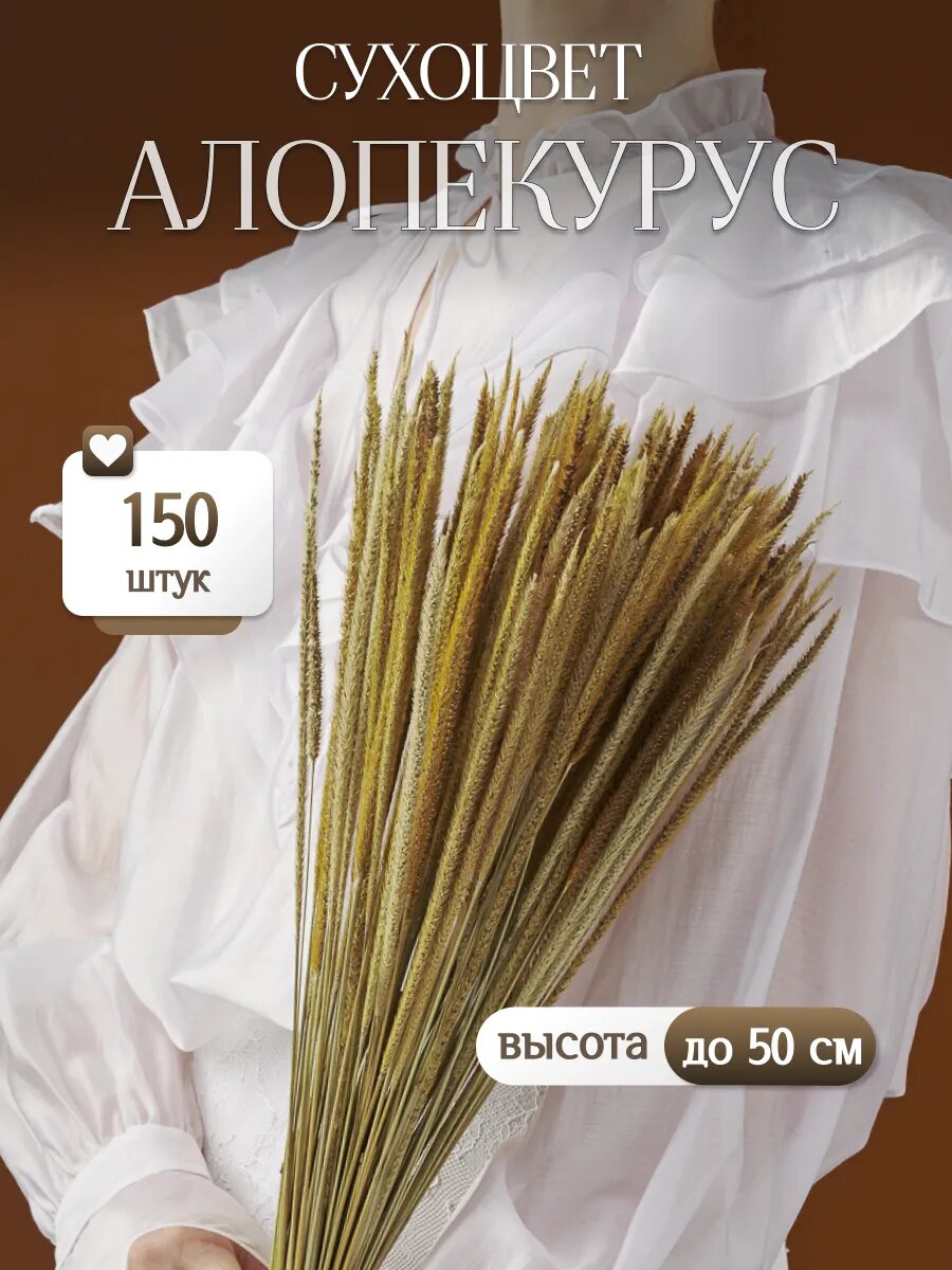 Сухоцвет elka.bio, Алопекурус, для декора, натуральный, 50 см, 150 шт
