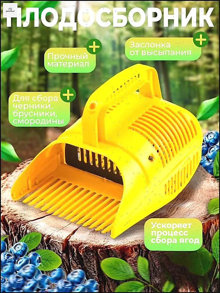 Плодосборник