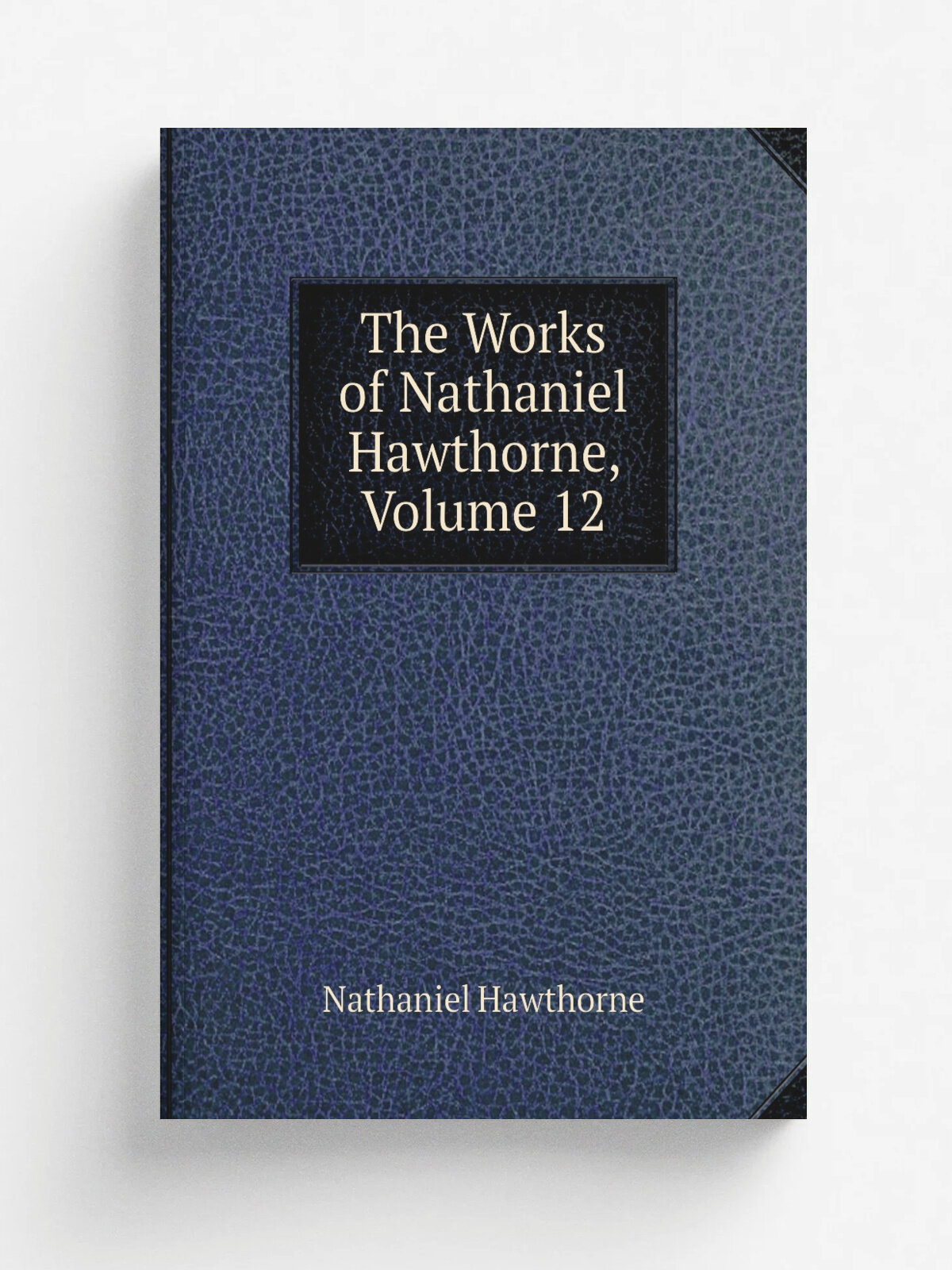 The Works of Nathaniel Hawthorne, Volume 12 | Hawthorne Nathaniel | Репринт
