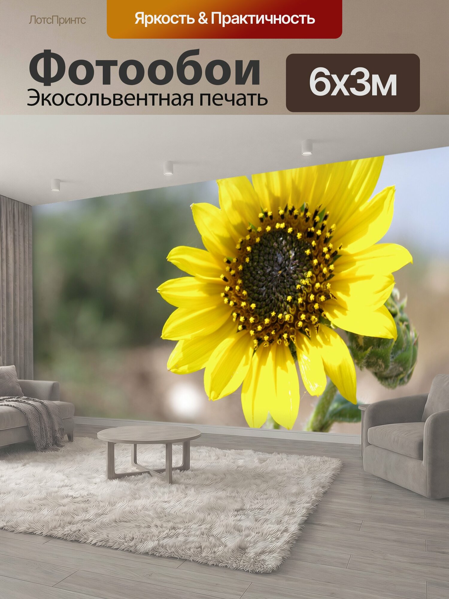 Фотообои "Подсолнечник Подсолнечник подсолнечник желтый солнце солнечная погода лето счастье радость семена жизнерадостный характер Ван Гог" 600x300 см. экосольвентная печать