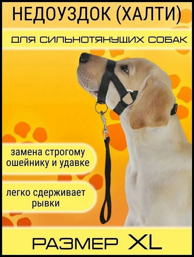 Недоуздок для собак крупных, средних, мелких пород / Намордник халти