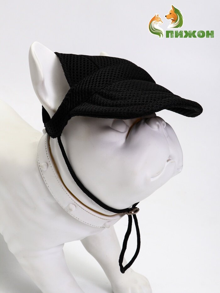 Кепка для собак и кошек, размер L, ОГ - 44 см, высота 13.5 см, чёрная