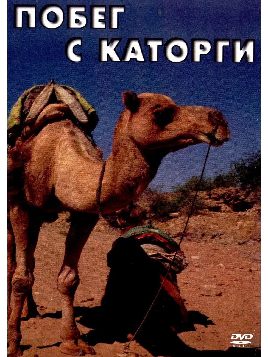 Побег с каторги (1979) (флешка)