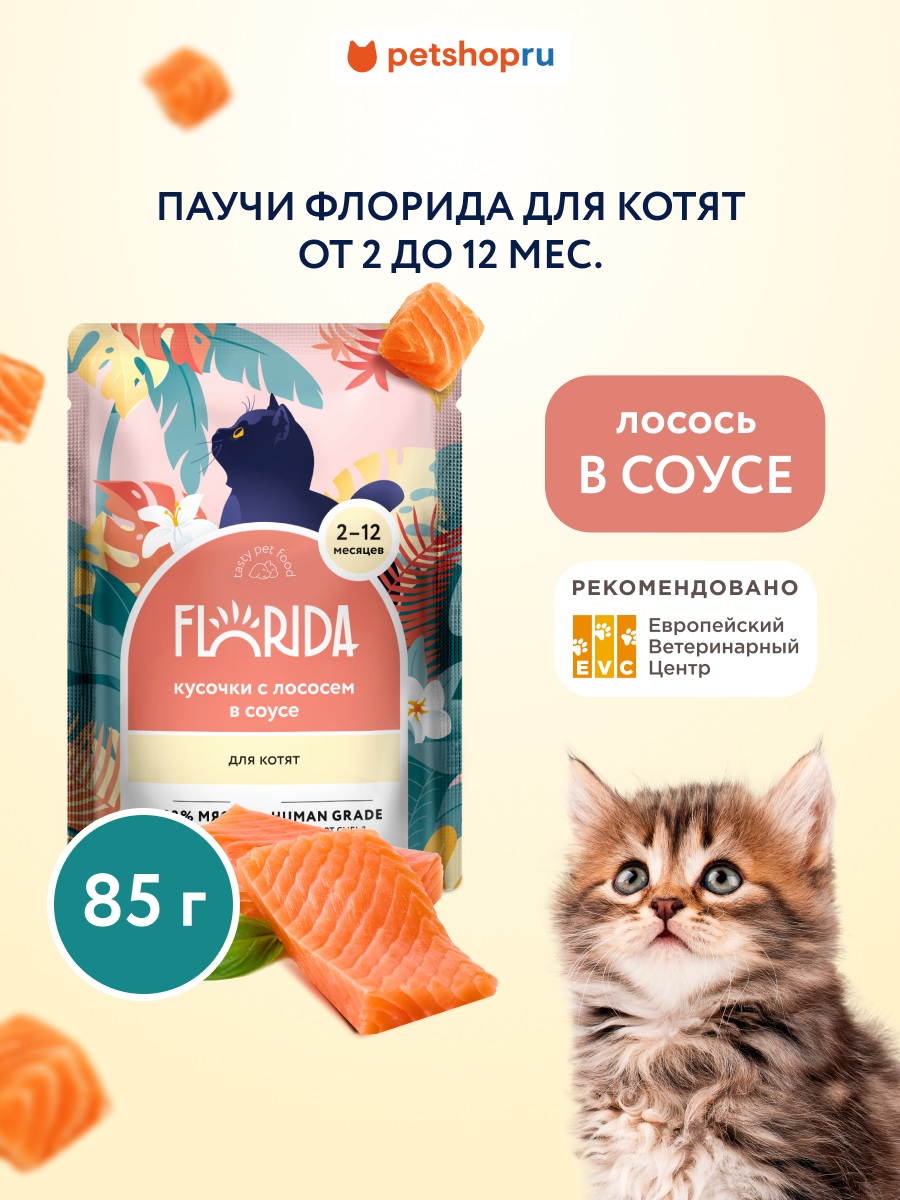 FLORIDA Паучи для кошек, влажный корм для котят, кусочки с лососем в соусе, 1 шт, 85 г