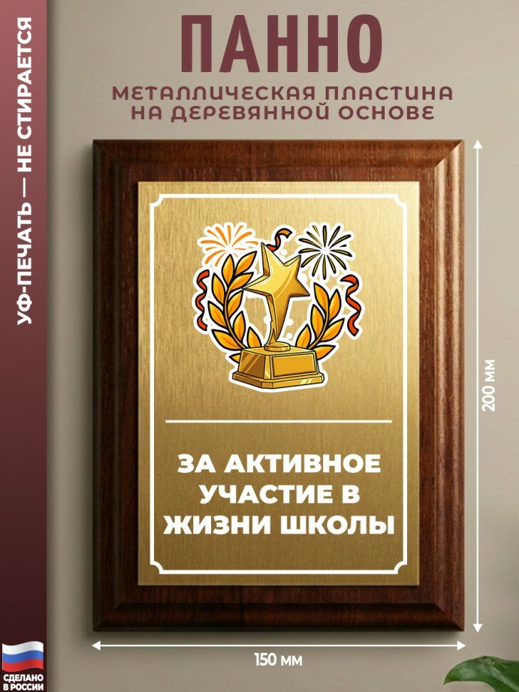 Настенный диплом "За активное участие в жизни школы"