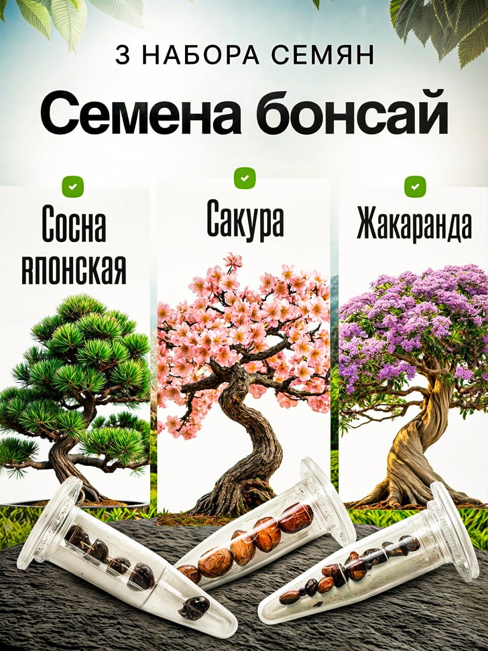 Набор семян для бонсай Сакура Сосна Японская Жакаранда 20 шт.