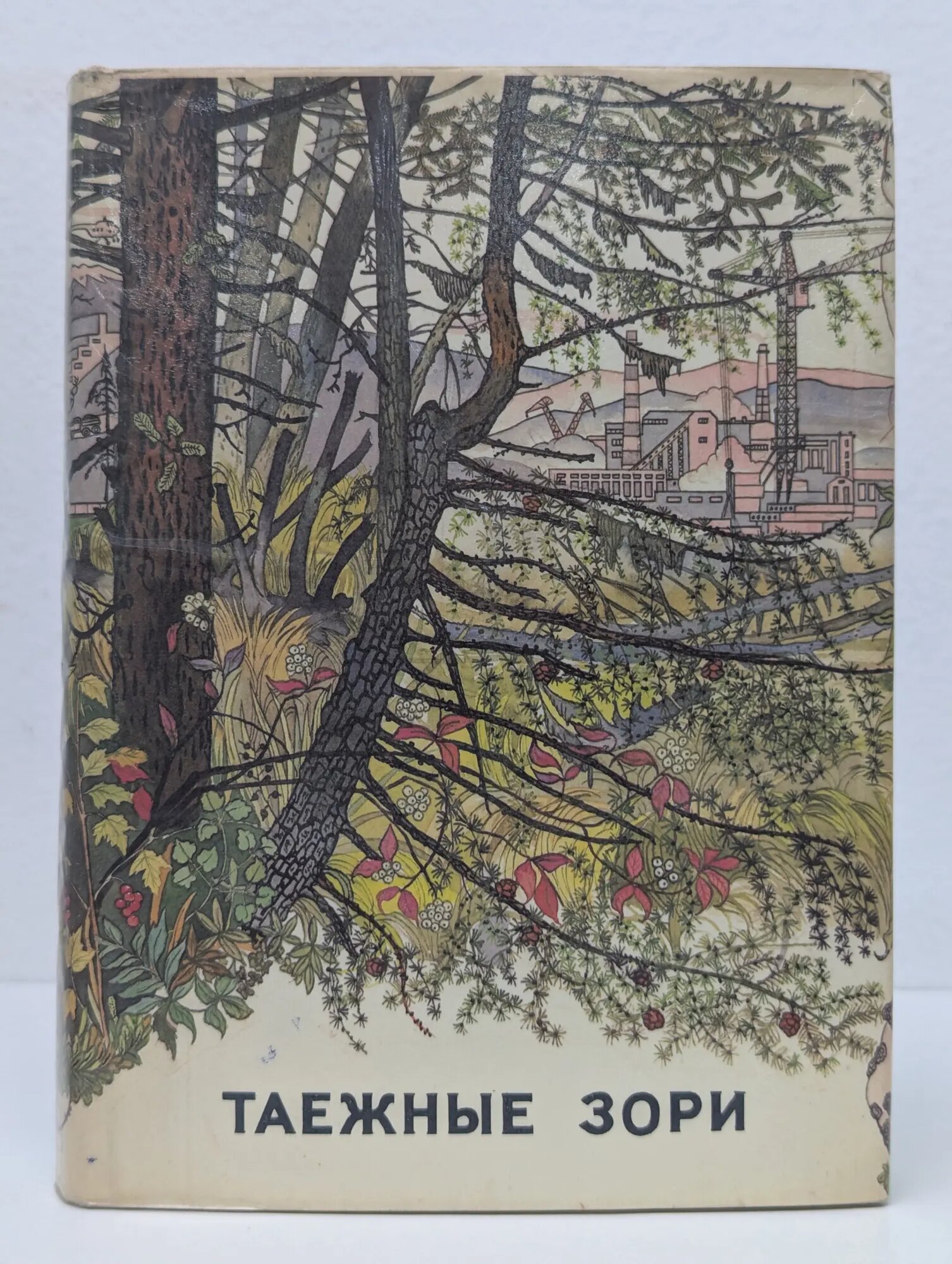 Таёжные зори. Большая судьба малых народов 1978