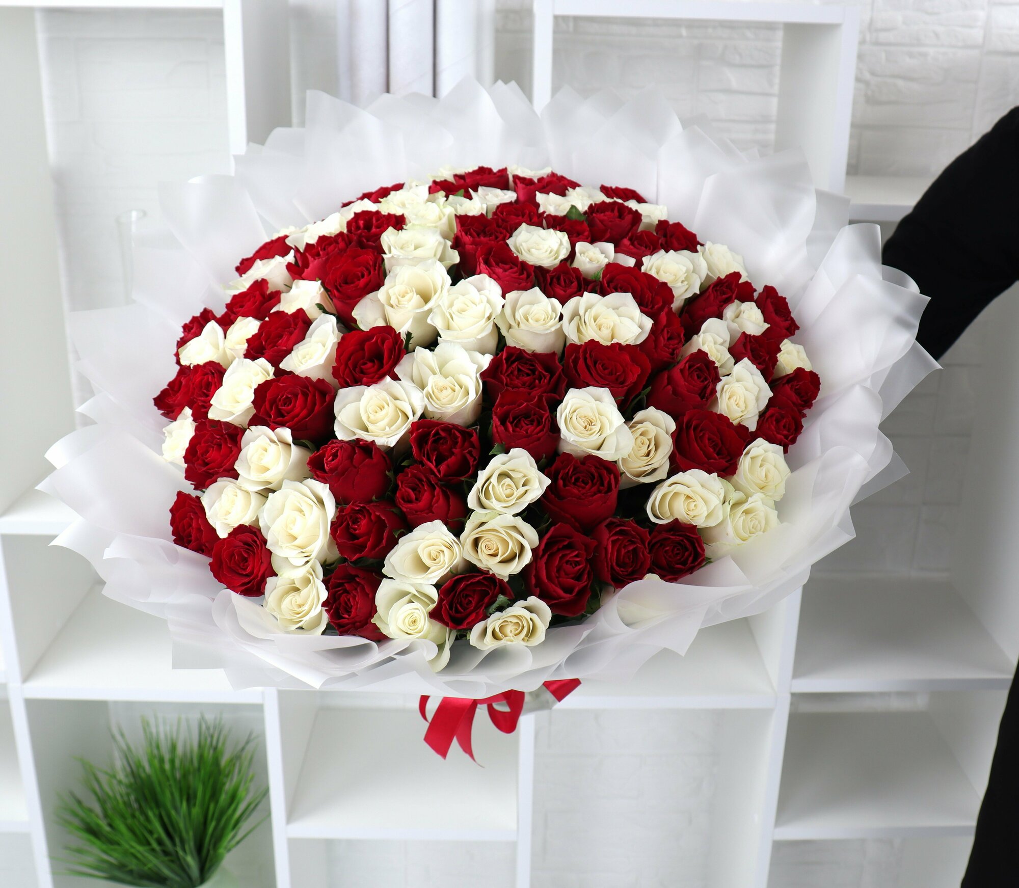 Монобукет THE FLOREAL красная и белая роза 101 штука, высота 40 см, с бантом