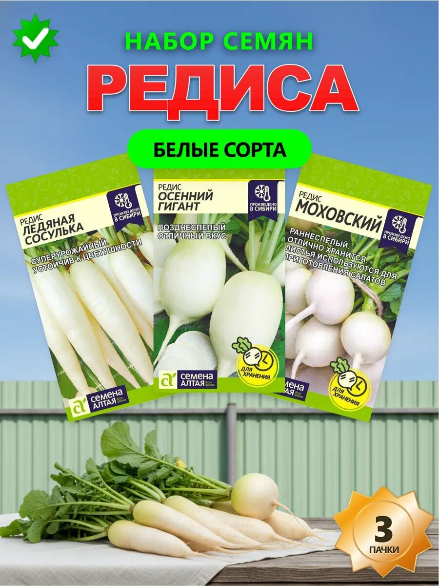 Набор семян белого редиса для открытого редиса и теплицы, 3 сорта