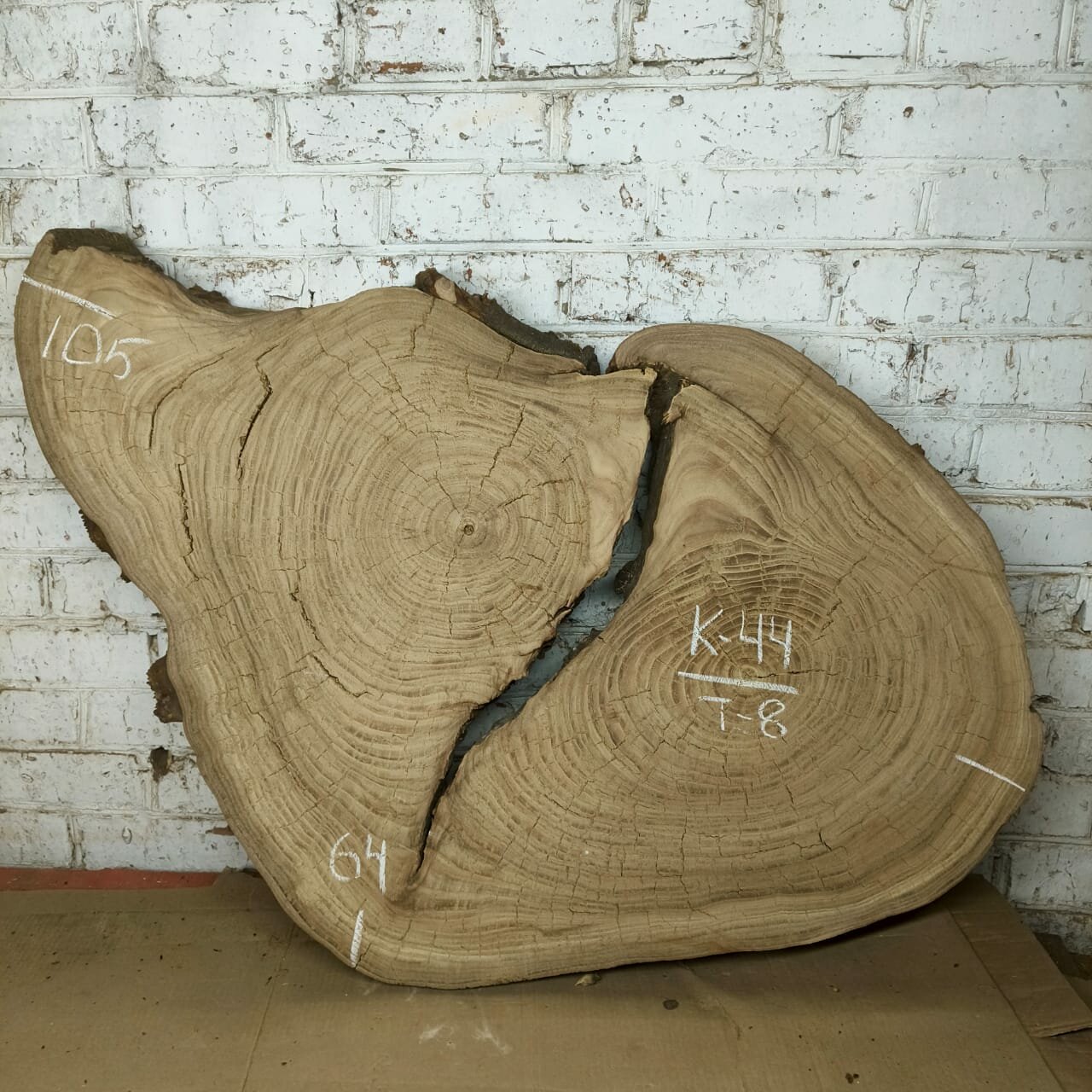 Торцевой спил дерева Карагач К-44, диаметр 64-105 см, выровнен в плоскости.