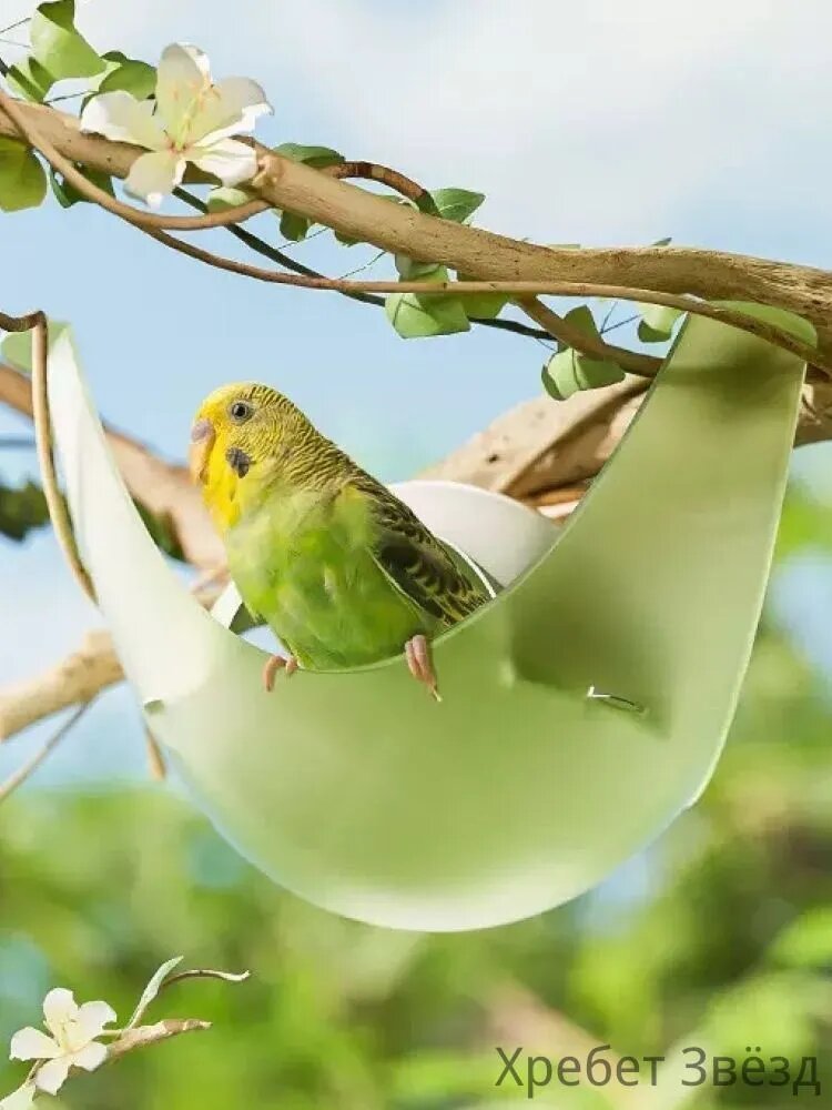 Домик для животных — фото 1